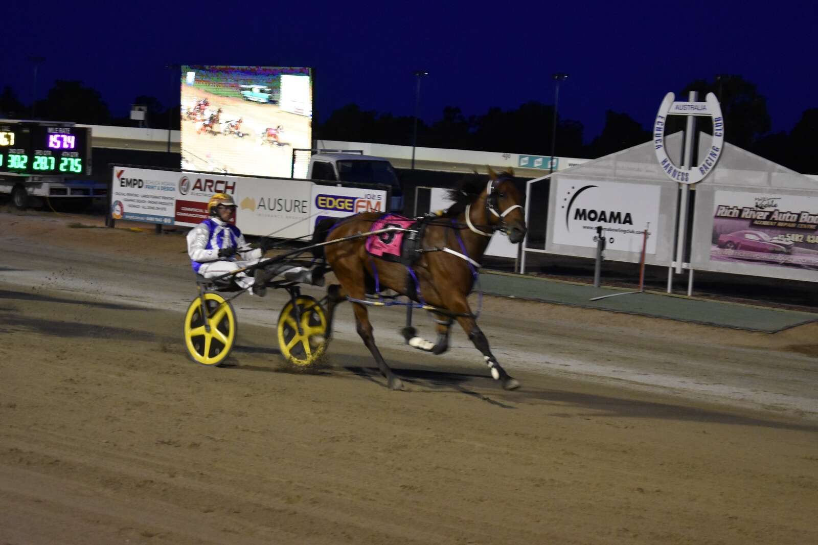 Masterful performance lands Echuca Pacing Cup | Riverine Herald