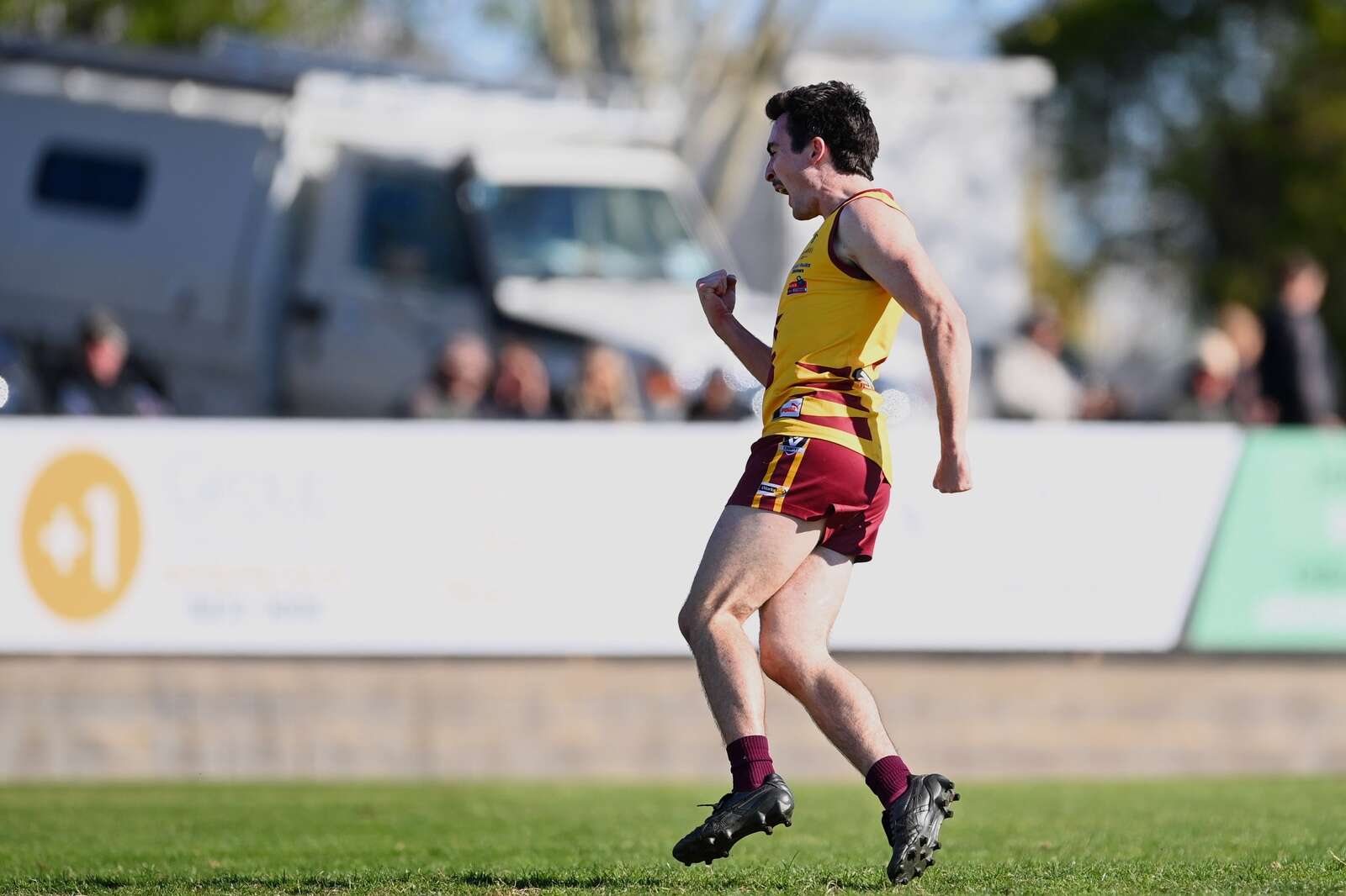 Gallery | Bears and Tigers scrap and claw in GVL prelim | Shepparton News