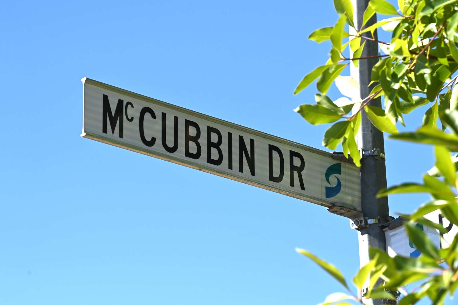 Court hears details of accidental shooting | Dairy News Australia