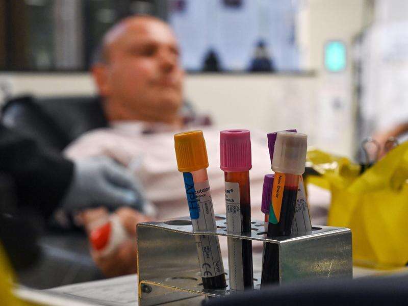 Diagnosing concussion could be as easy as a blood test | Country News