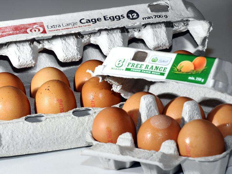 Slow boil for caged eggs ban as cracks show in timeline | Shepparton News