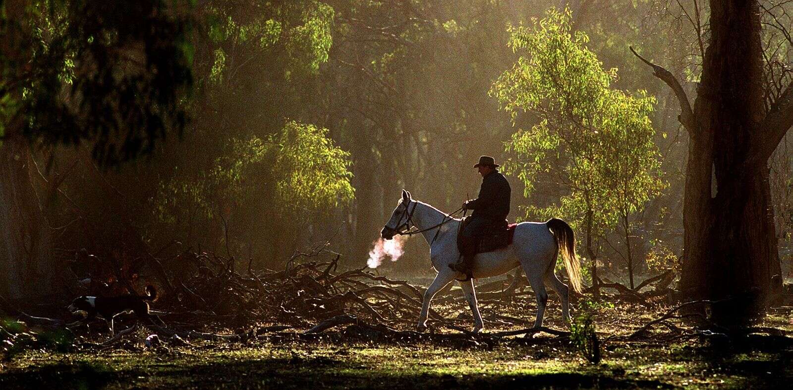 Muster exits Barmah | Country News