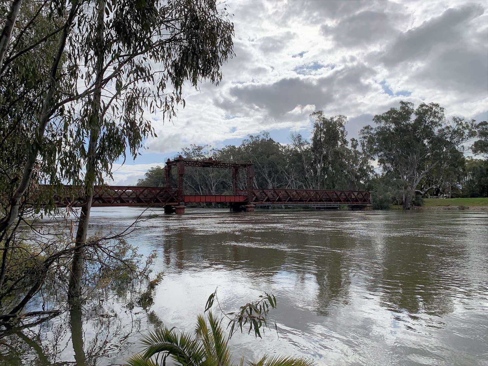Region remains impacted by river levels | Southern Riverina News