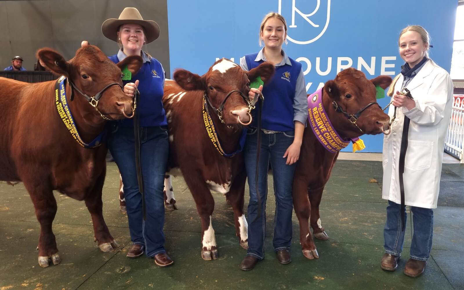 Beef cattle paraders at Melbourne Royal Show | Country News