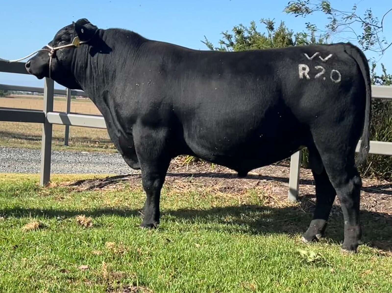 Tried, true and totally tested | Shepparton News