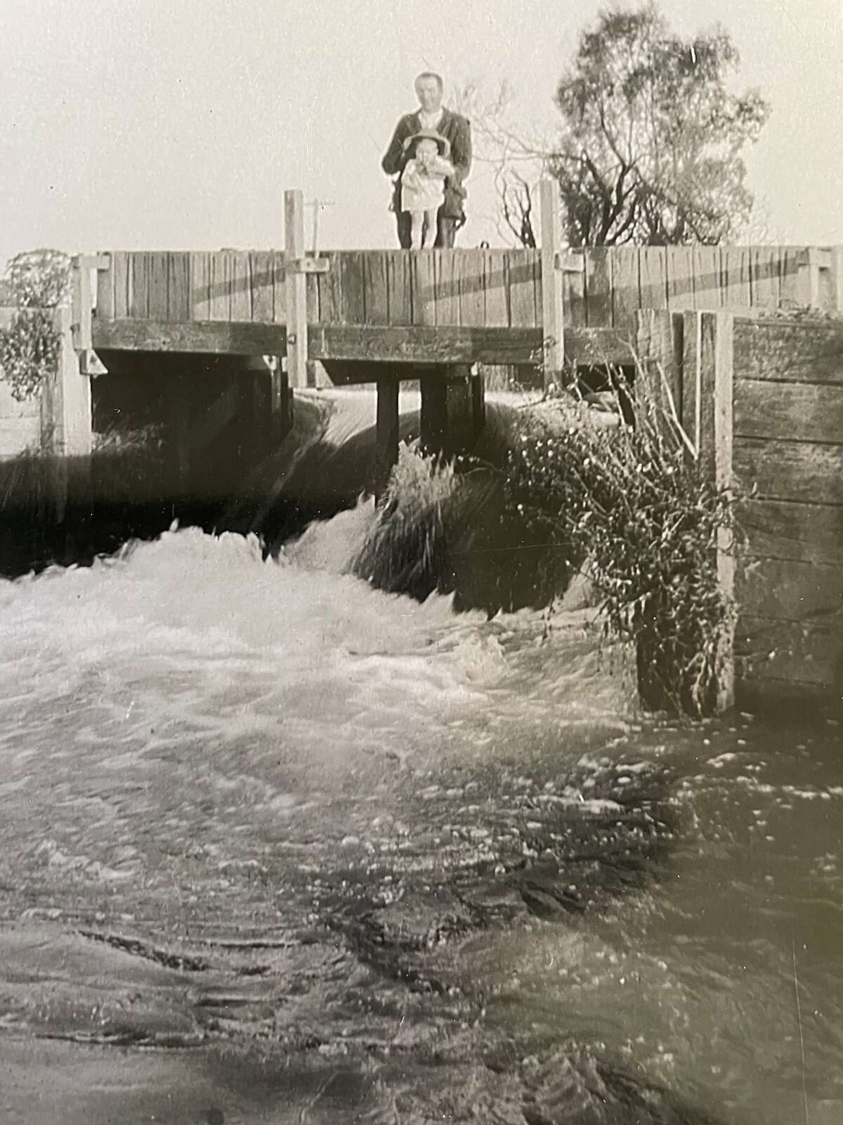 Around the traps | Seymour Telegraph