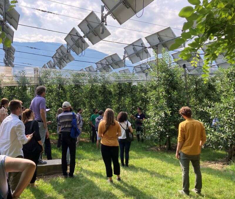 Foliar fertilisation increases cherry yield | Seymour Telegraph