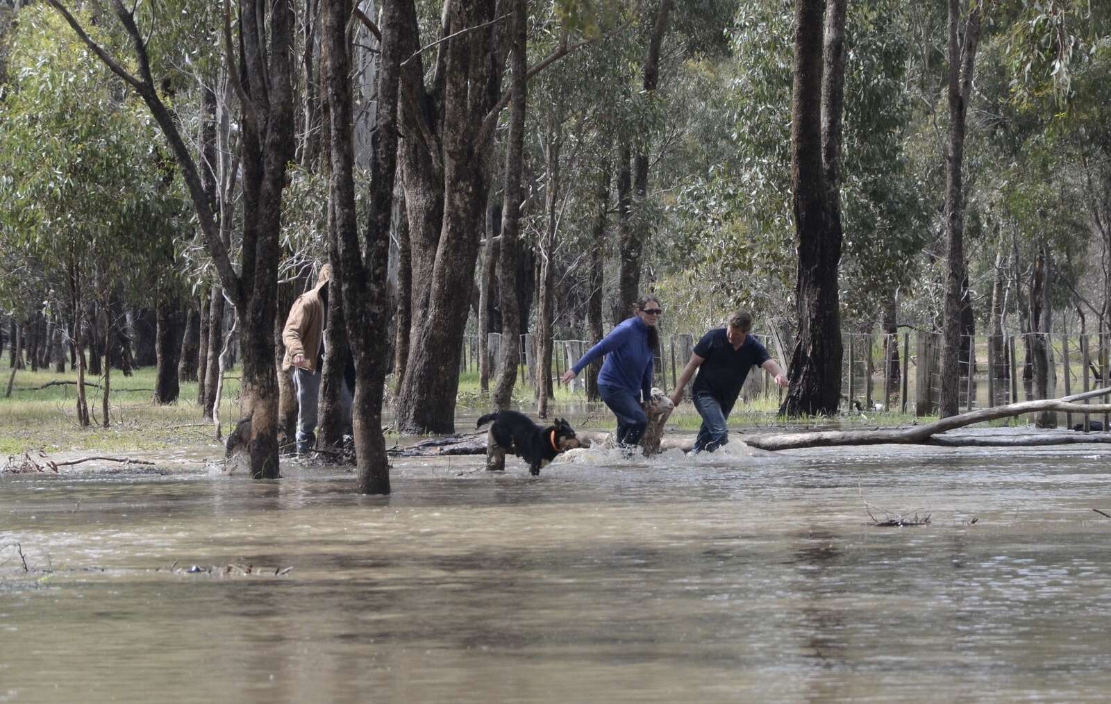 Floods hit farms | Shepparton News