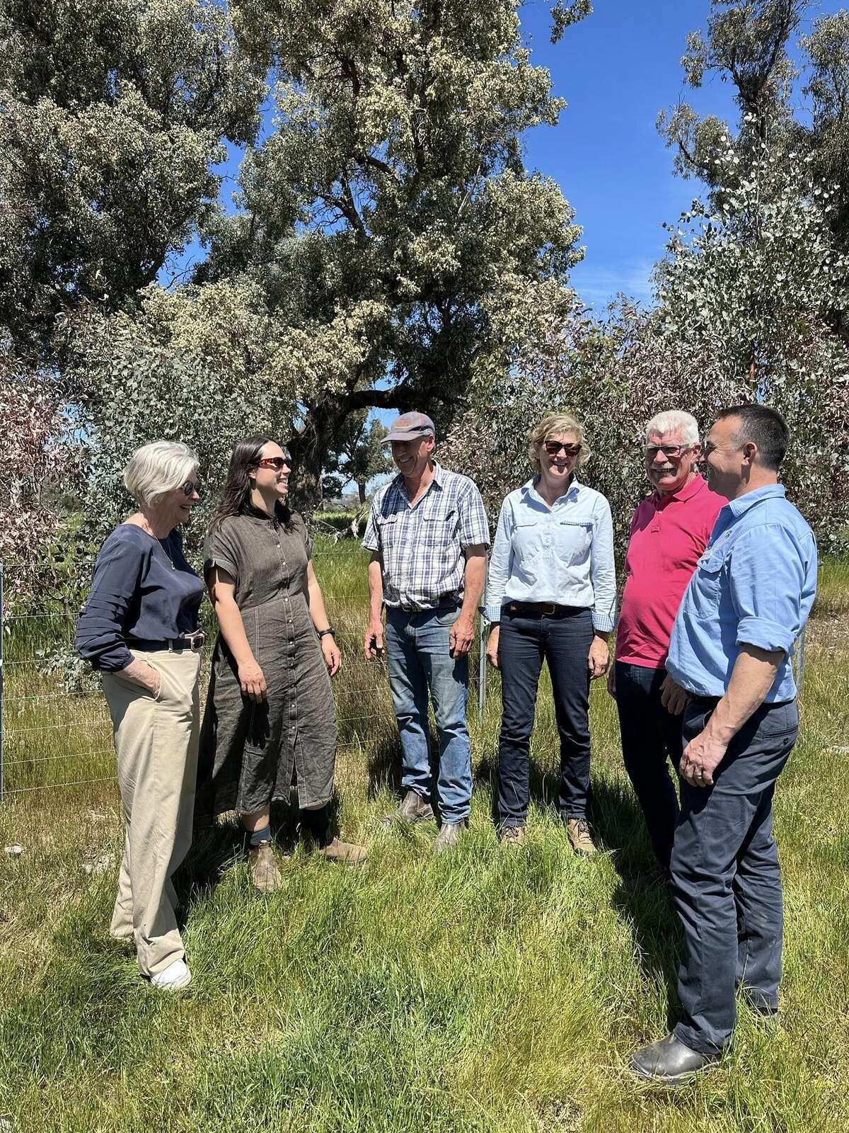 Gecko CLaN Landcare’s regeneration project showcases sustainable ...