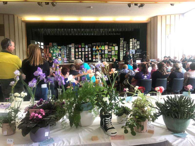 Flower show wrap | Shepparton News