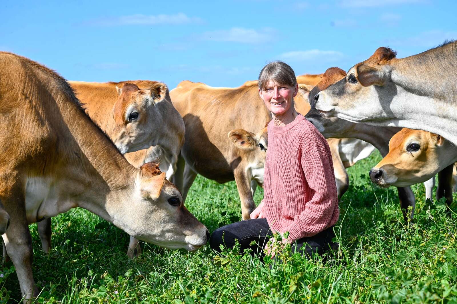 More land means more cows | Dairy News Australia