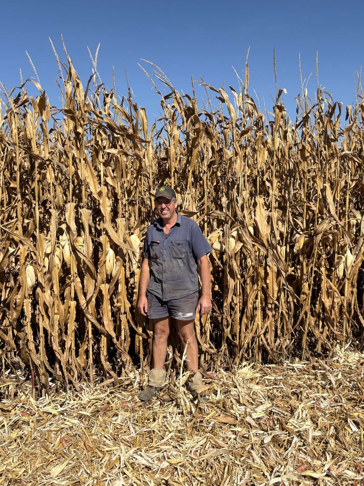 Record-breaking corn crop | Riverine Herald