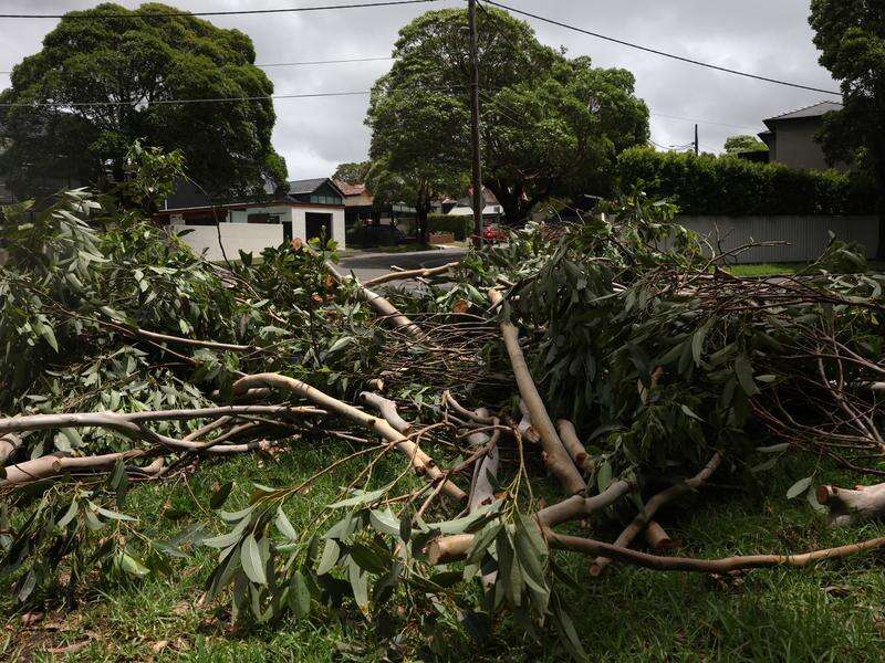 Storm declared 'natural disaster' as cyclone builds | Country News