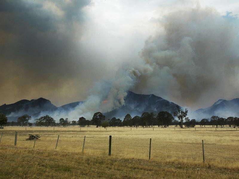 Climate risk main reason premiums are rising: insurers | Country News