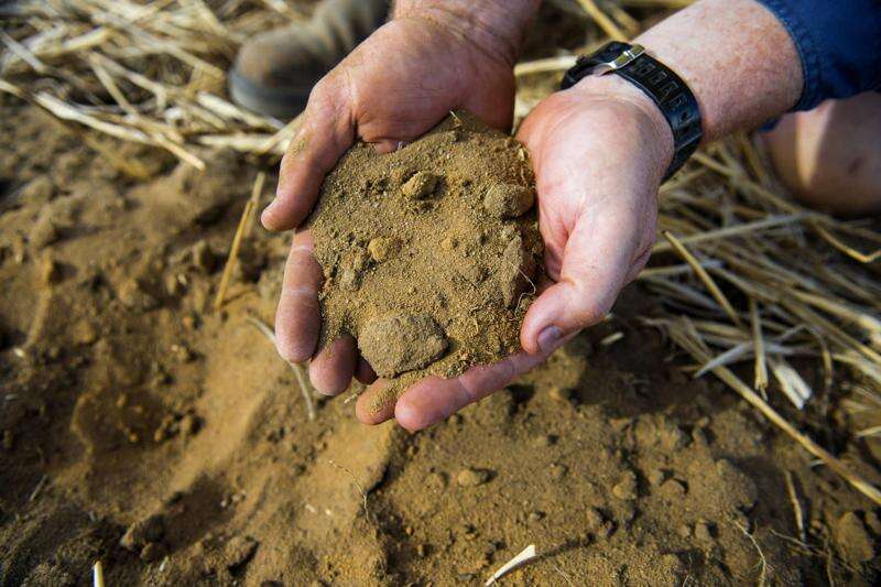 Soils hub launches with a wealth of free information | Country News