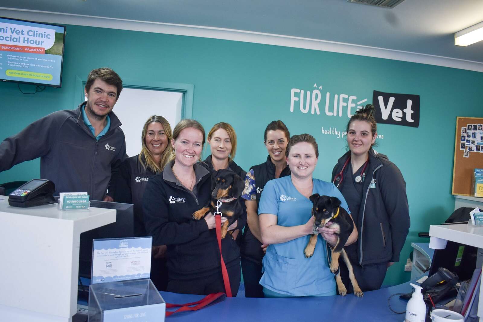 Paws for thought at Vet Open Day | Seymour Telegraph
