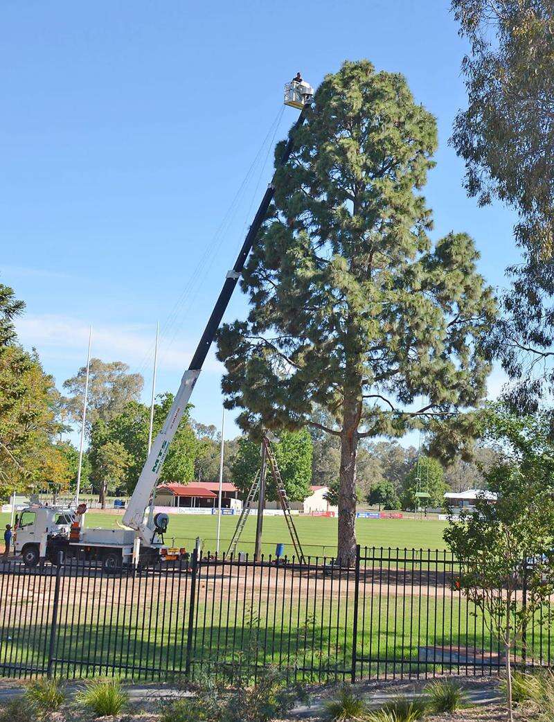 For all your landscaping needs | Shepparton News