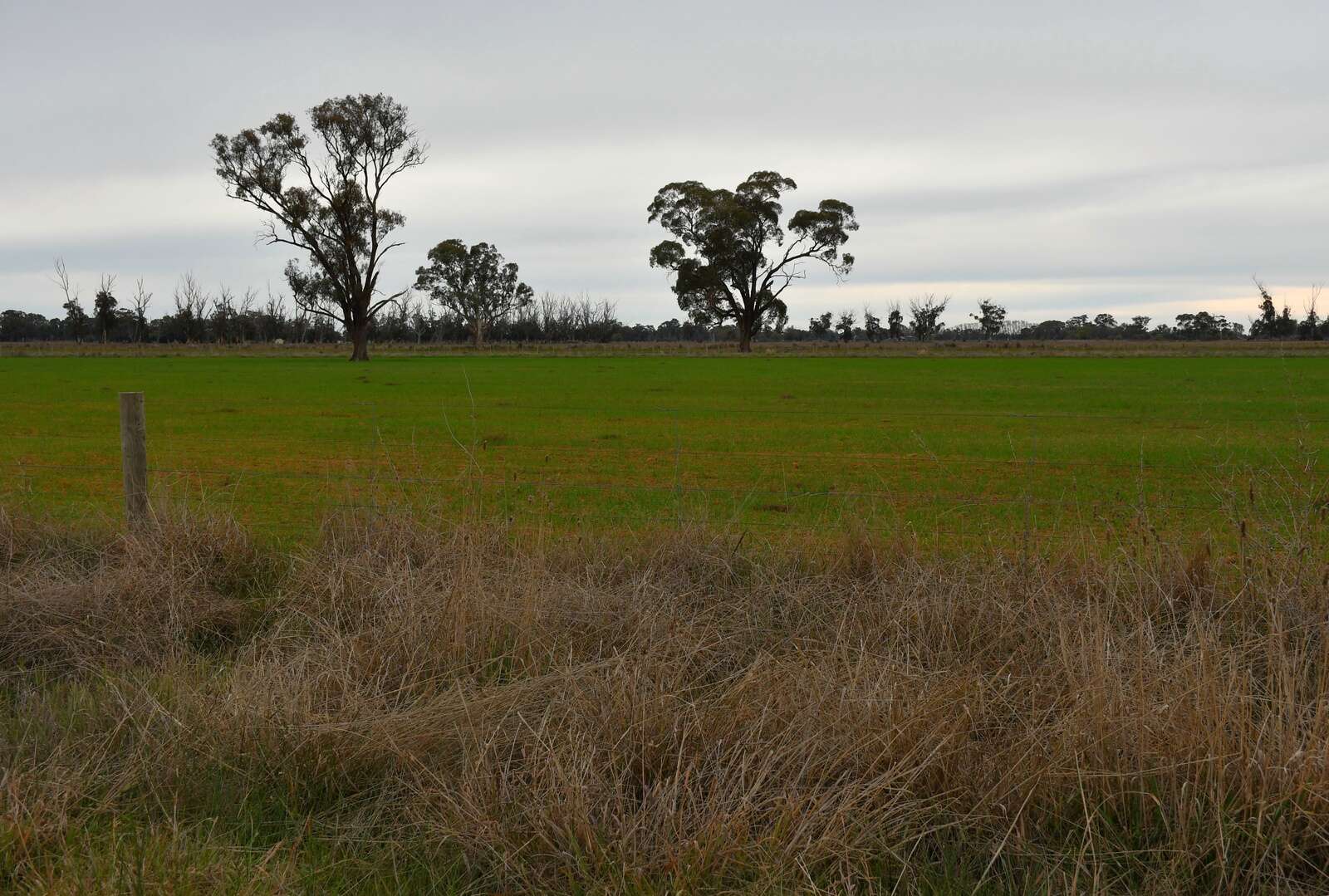 Will the Lancaster Solar Farm be constructed? | Shepparton News