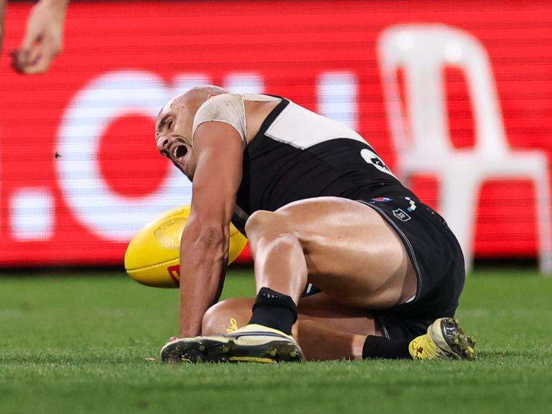 Captain Rozee among injuries in Port's win over Saints | Dairy News ...