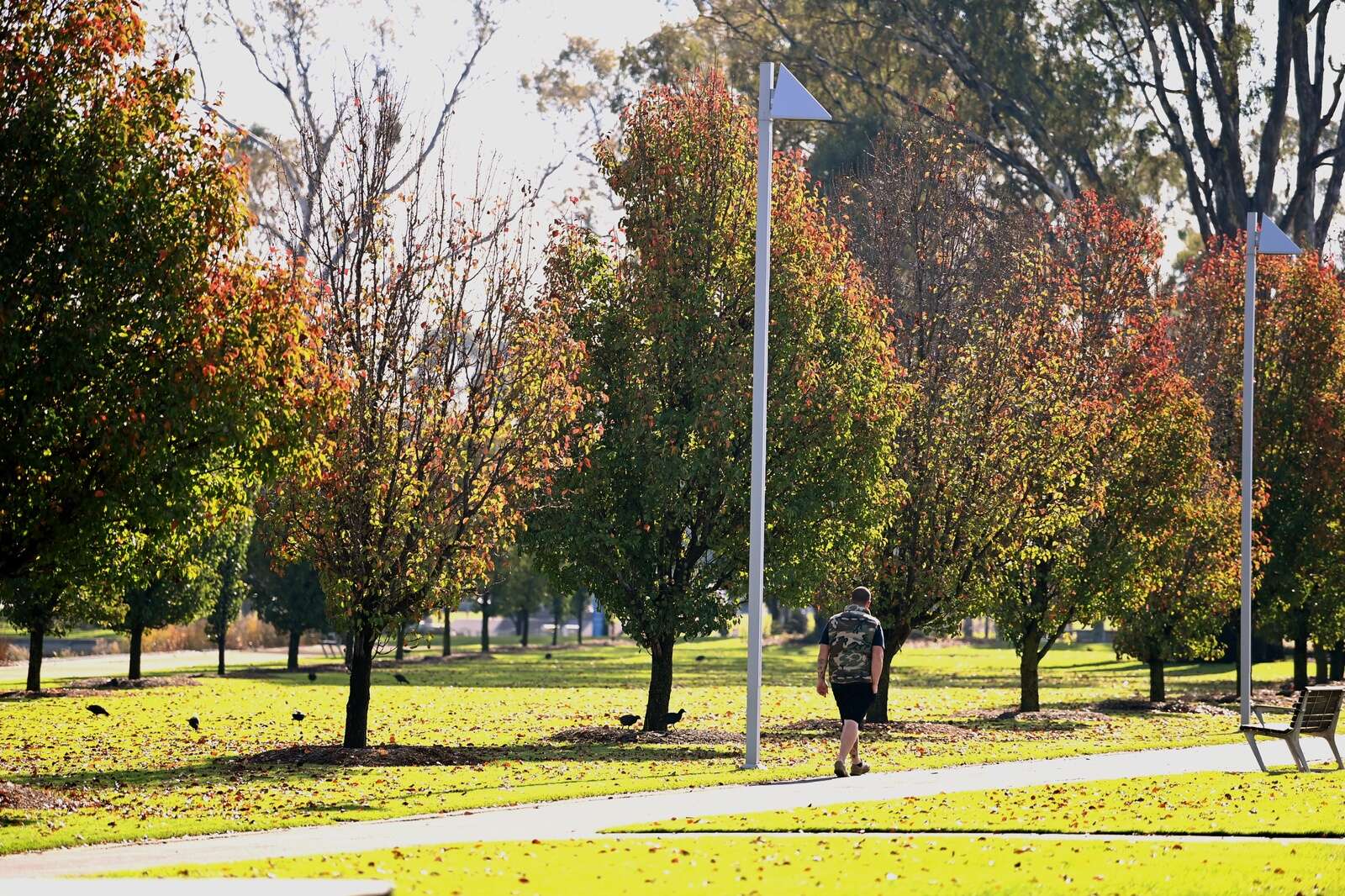 How council keeps parks clean and green across 611 hectares | Dairy ...