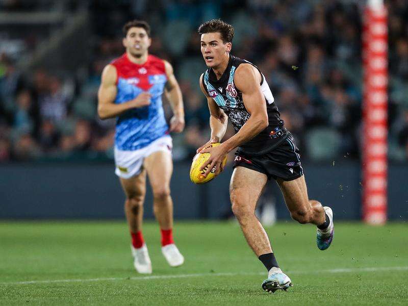 Butters dominates as Port Adelaide pip Melbourne | Riverine Herald