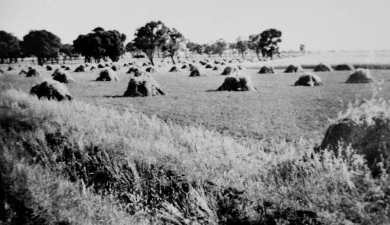 Katamatite memories | Country News