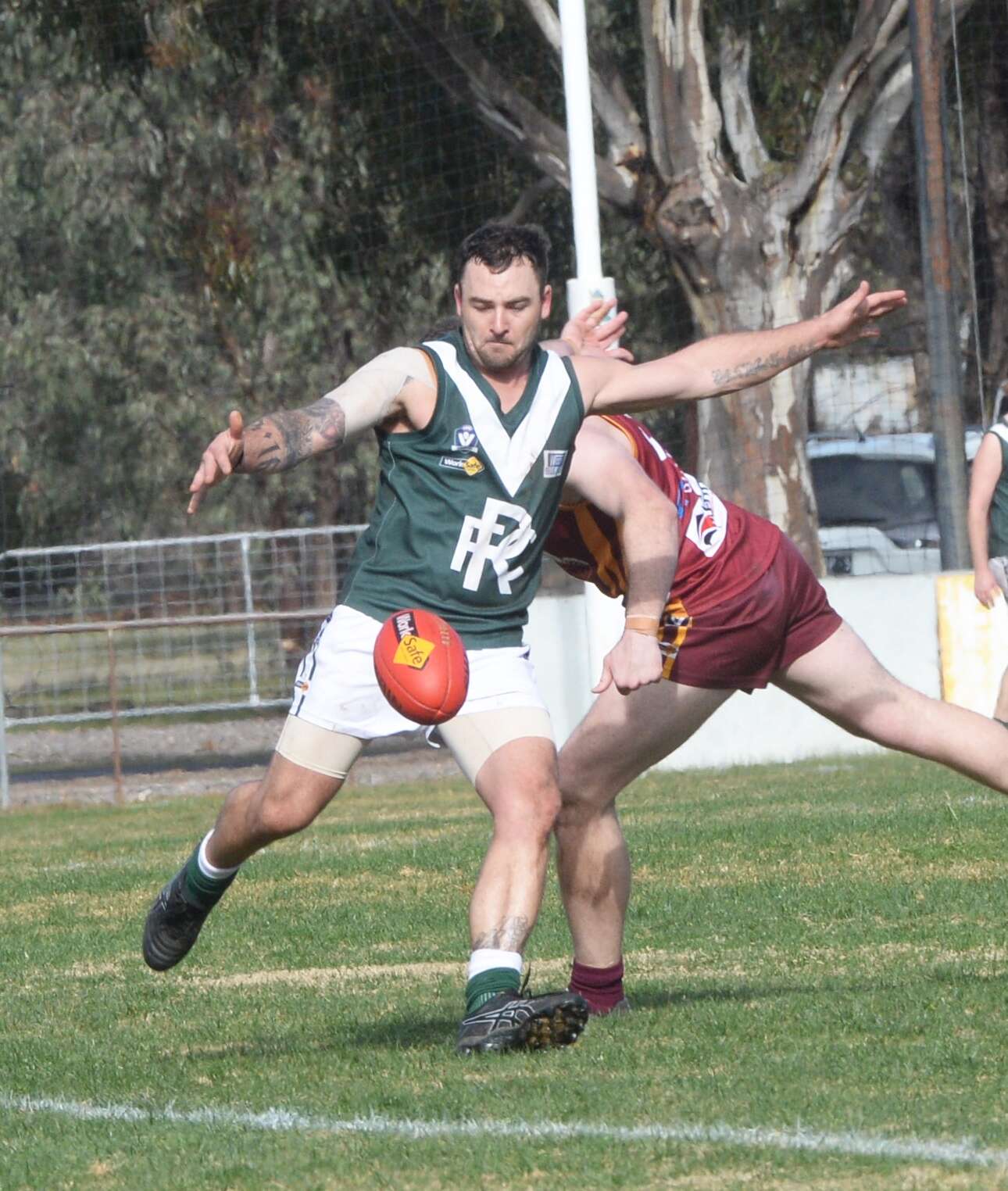 Hoppers outclassed by Bears | Shepparton News