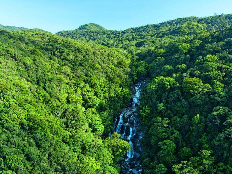 Mossman Gorge search enters third day | Country News