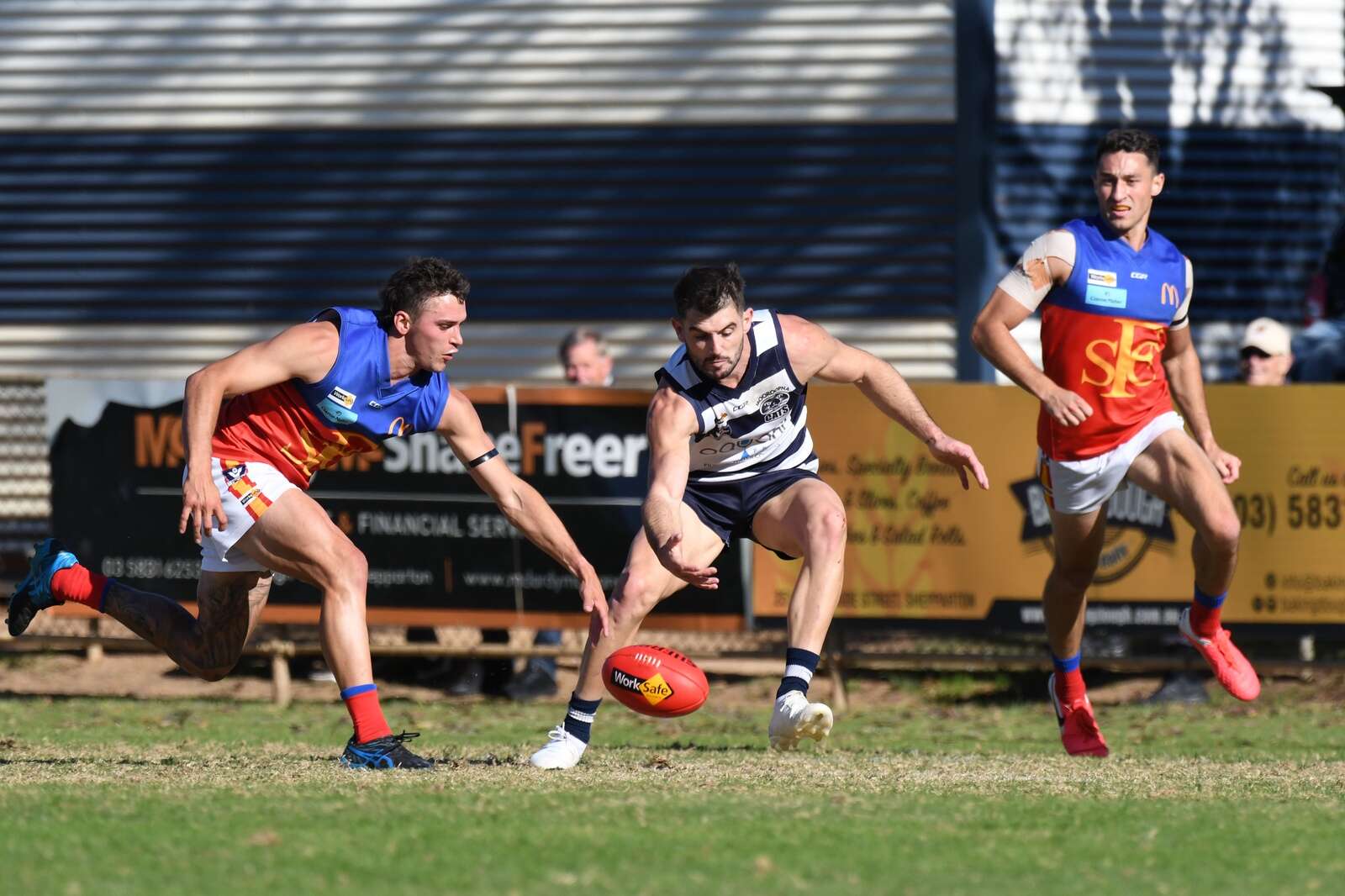 Nield has a day out as Cats sharpen claws over Saints | Shepparton News