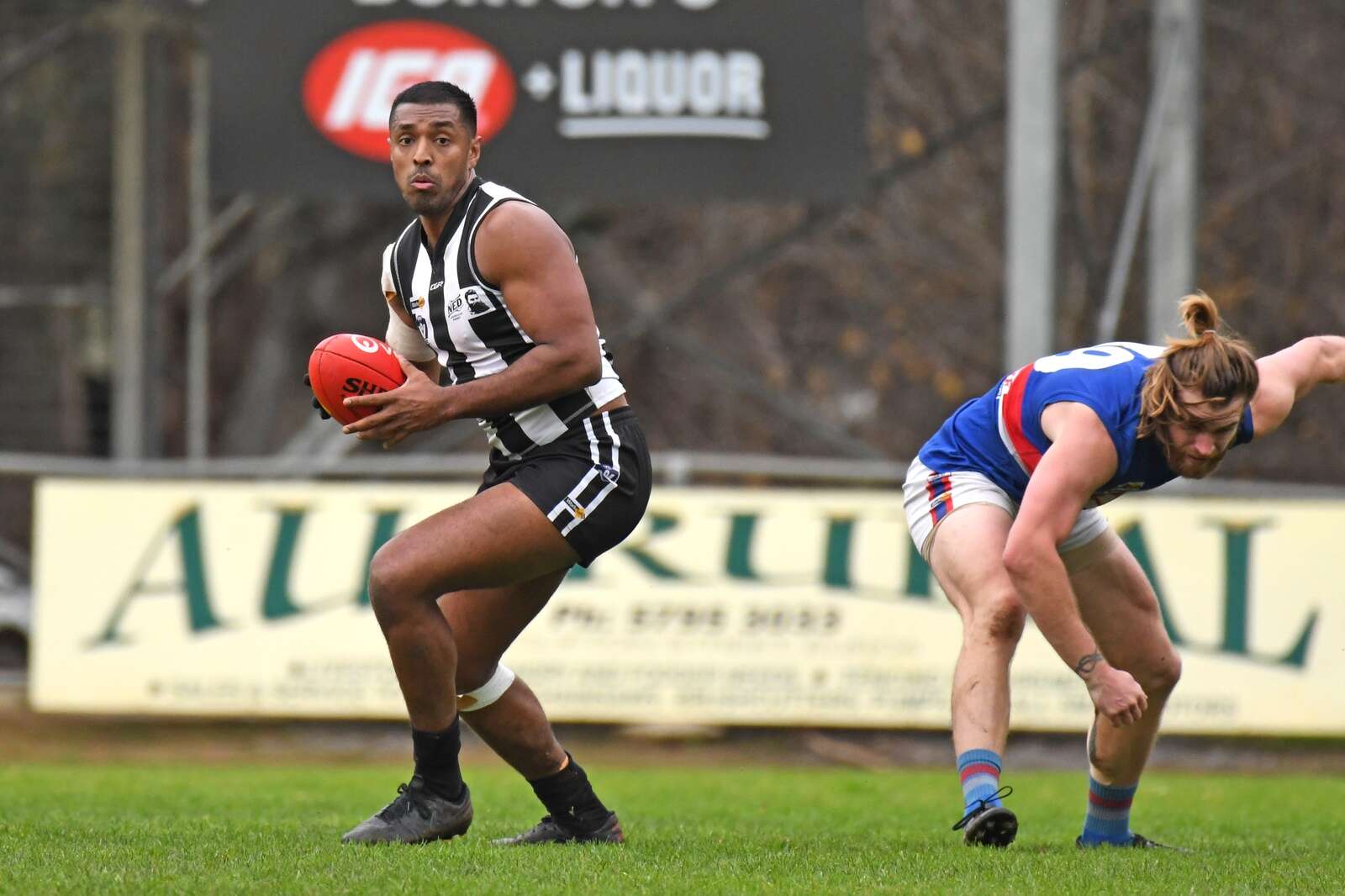 GVL | Gallery | Magpie forward takes flight in Euroa’s big win ...