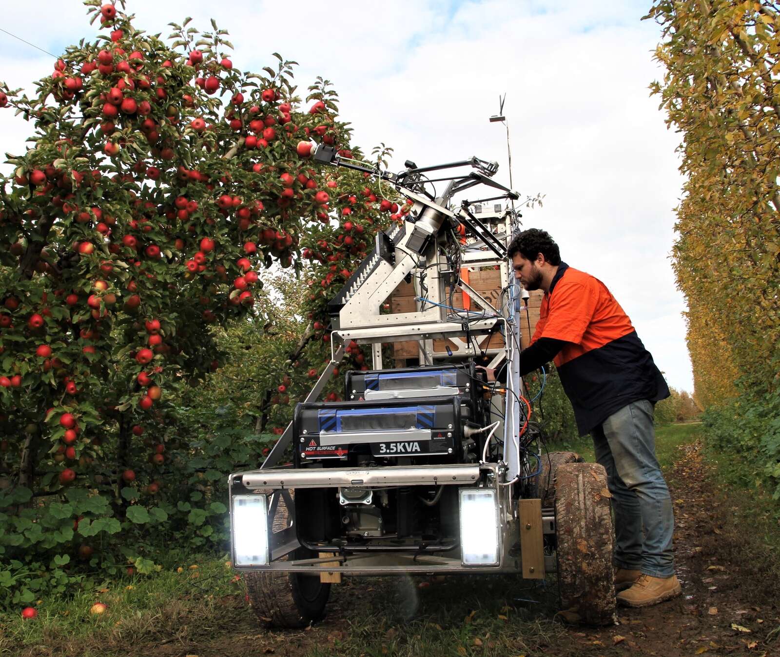 Robot Orchard Takeover Not Happening Any Time Soon Country News