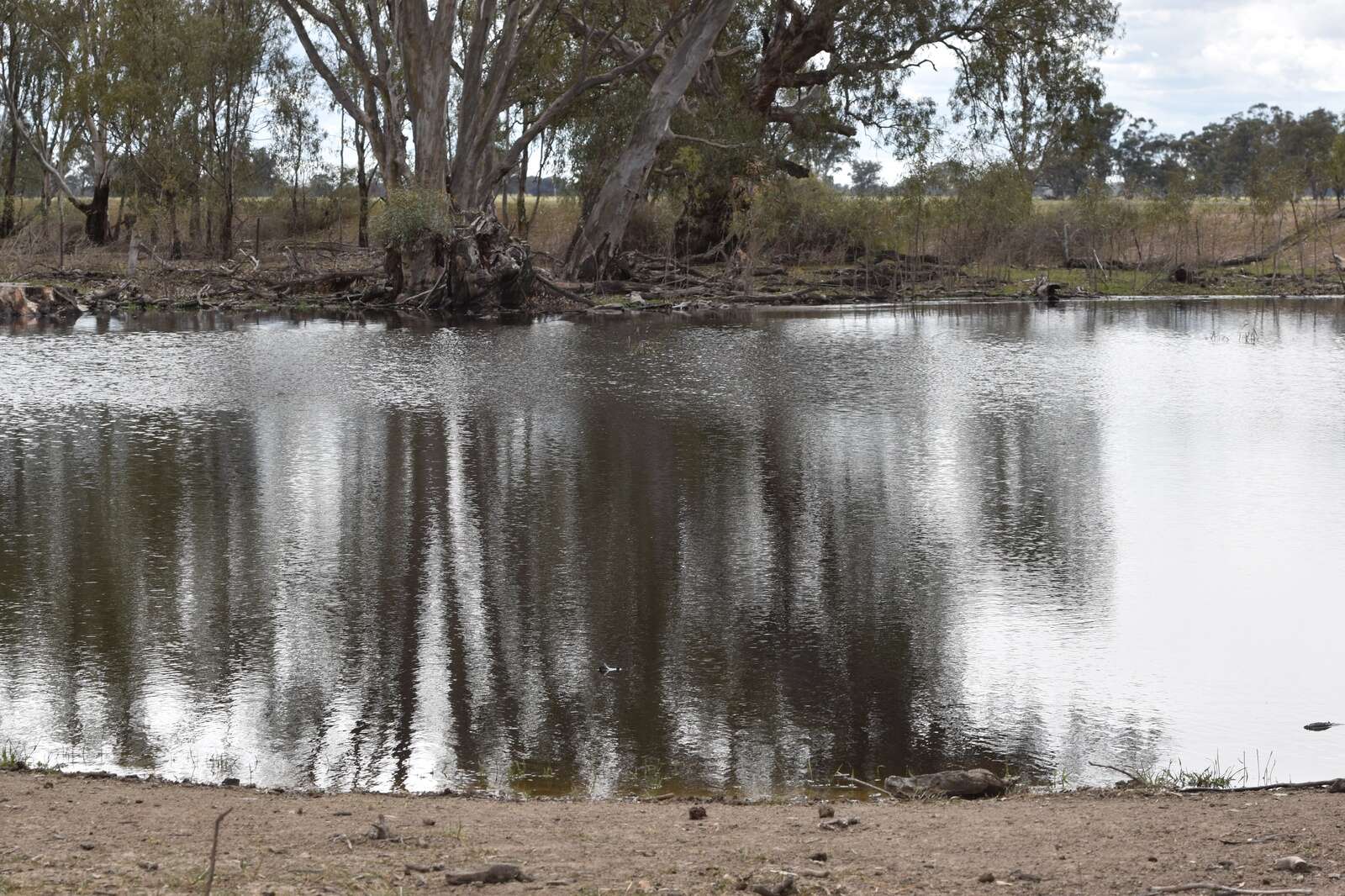 Avoid dam headaches | Country News