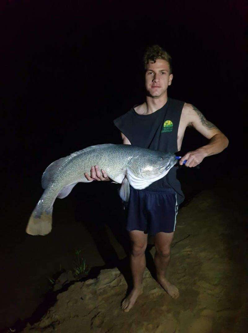 Mooroopna angler lands 98cm monster cod | Shepparton News