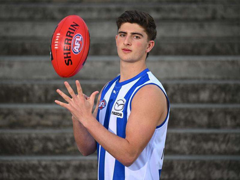 Kangaroos re-sign Harry Sheezel until the end of 2026 | Dairy News ...