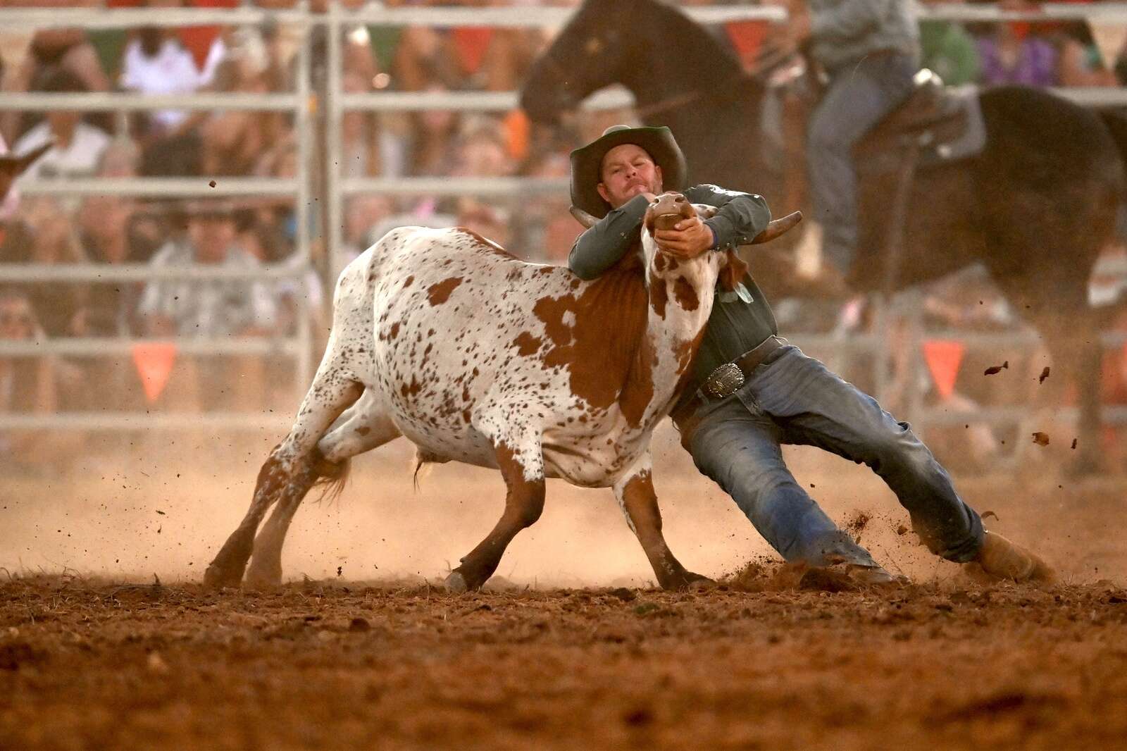 Hold your horses, the Ky Rodeo is back | Cobram Courier
