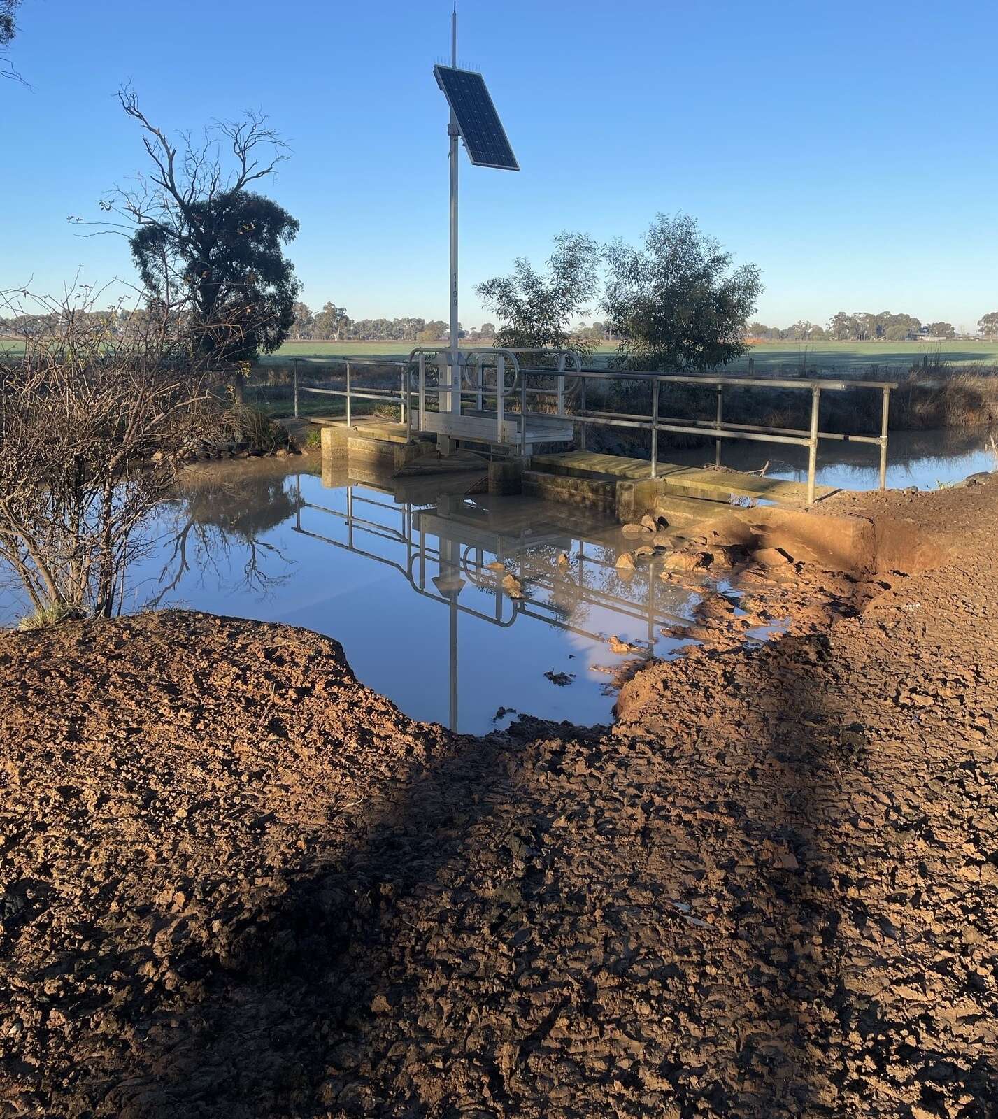 Channel banks no place for livestock | Riverine Herald