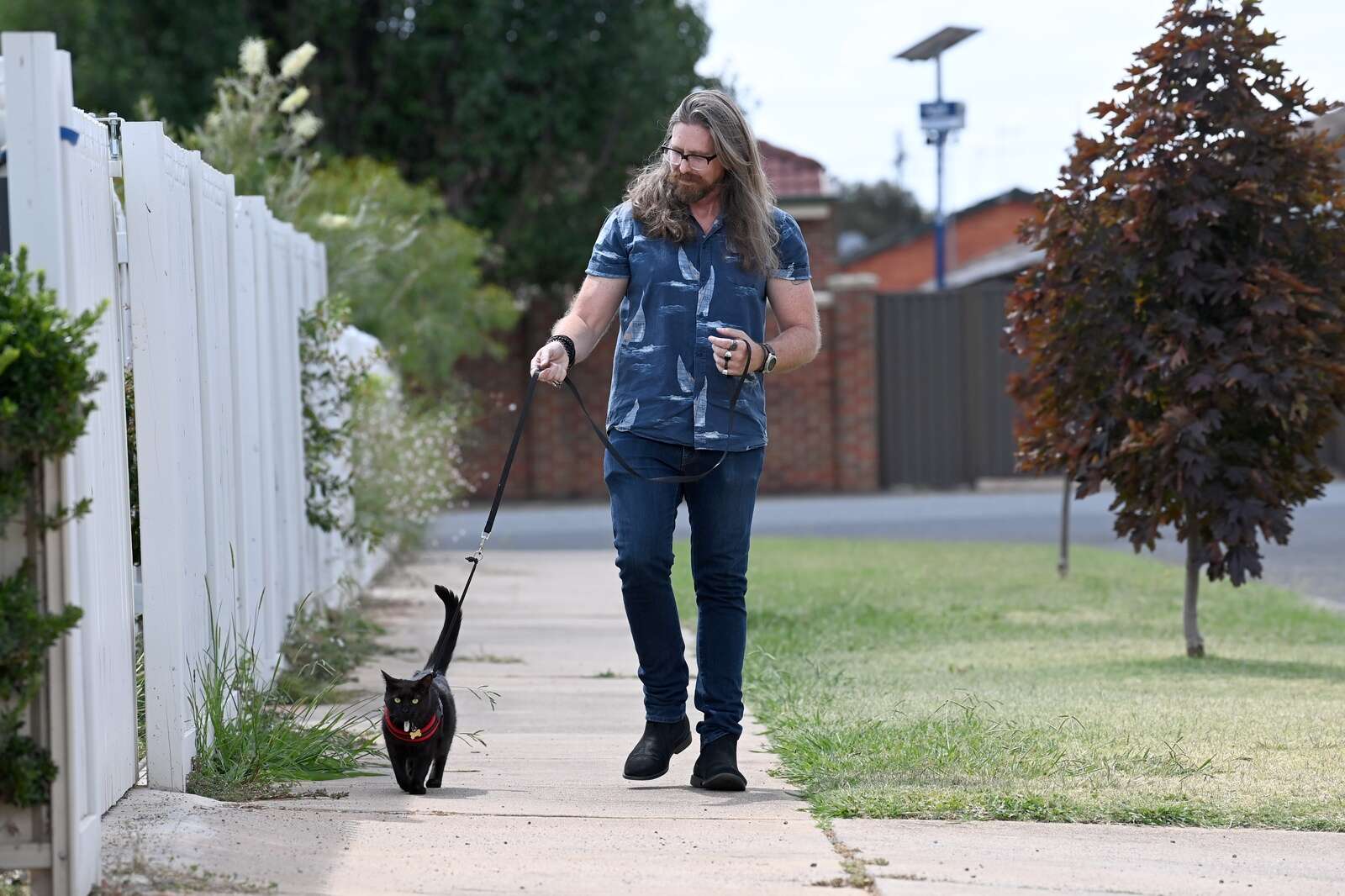 Year in review: Pet page | Shepparton News