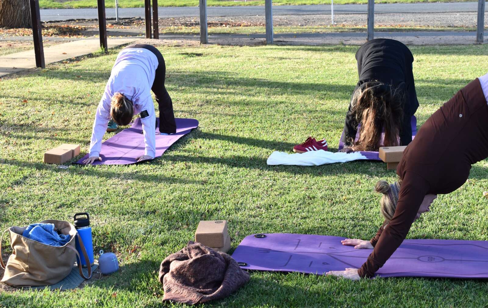 Yogis flow into Thursday | Dairy News Australia
