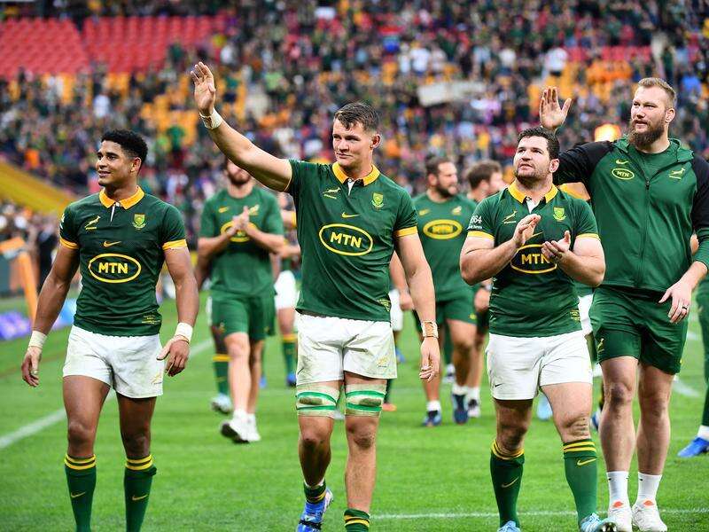 Springboks smash Wallabies to open Rugby Championship | Country News