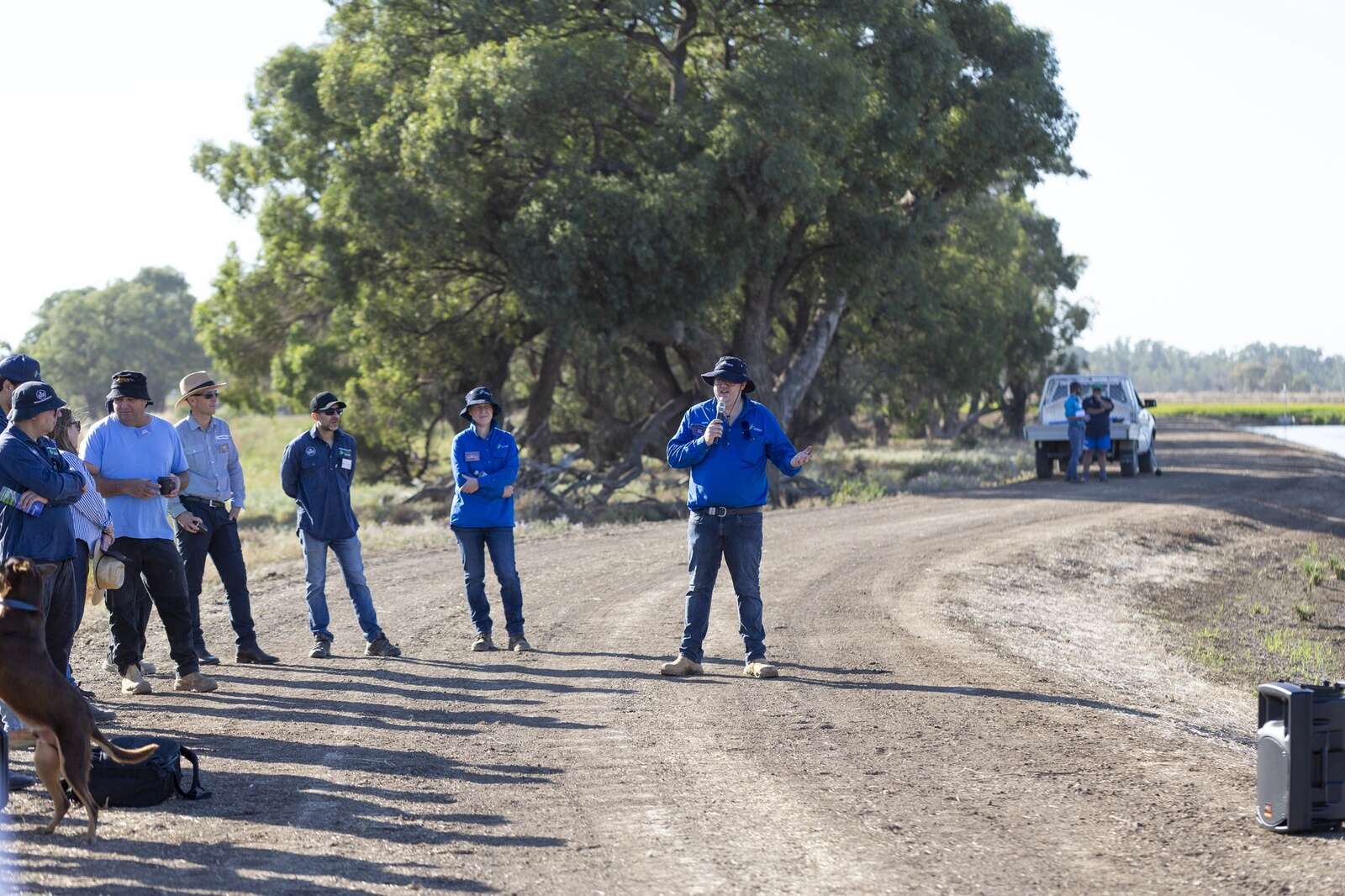 Breeding insight for farmers | Dairy News Australia