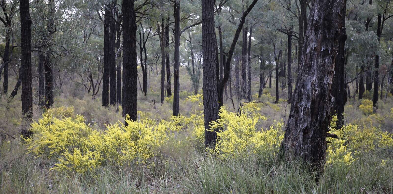 Stay safe in the bush | Country News