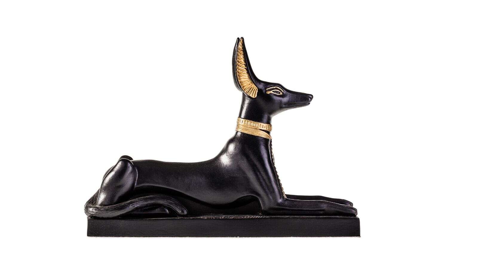 Dogs: in charge - or part of the doG delusion? | Shepparton News