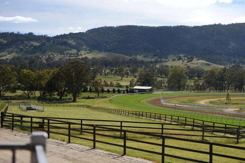 Royal Randwick major horse racing events | Yarrawonga Chronicle
