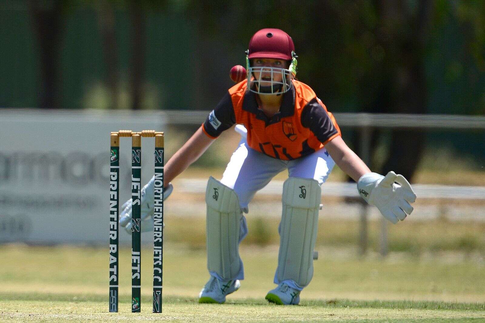 Junior Country Week Day 2 Wrap - Cricket Shepparton continues carnival ...