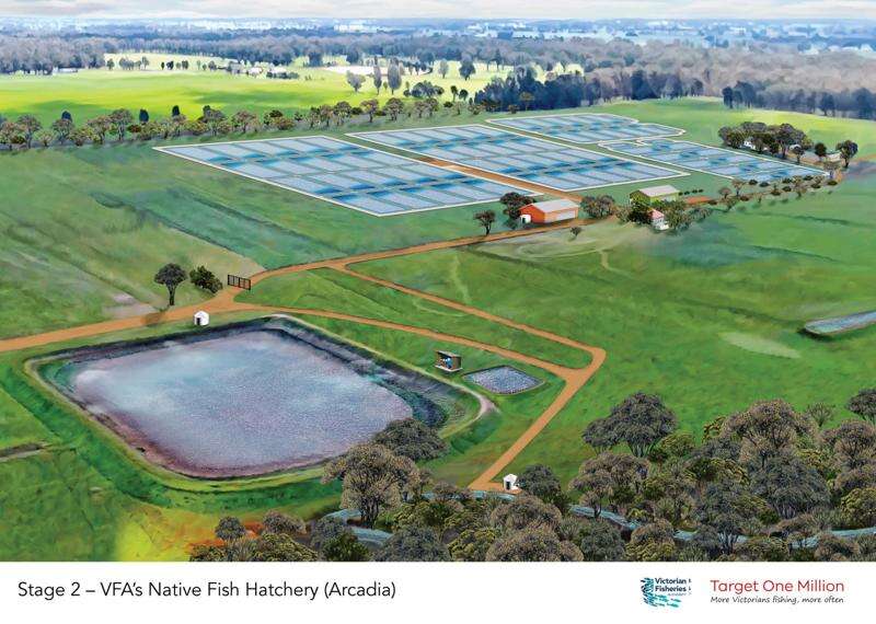 Fish hatchery is the right snag for region | Shepparton News