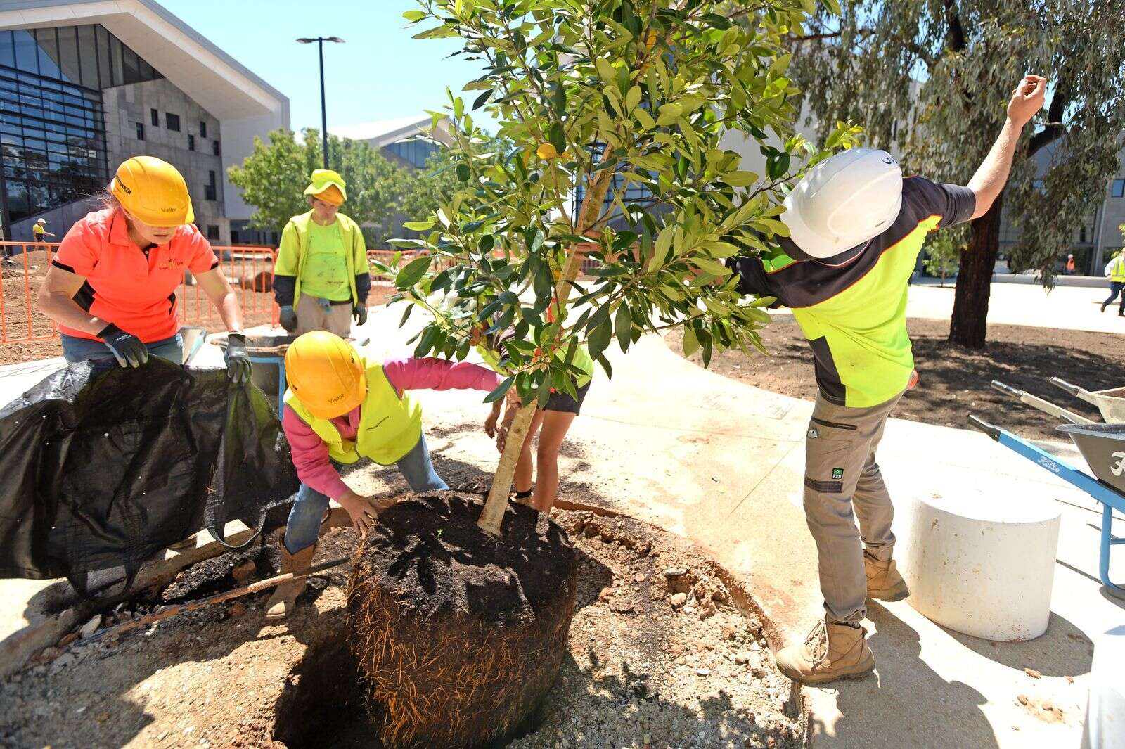 ConnectGV, Billabong nursery plant new trees at GSSC | Shepparton News