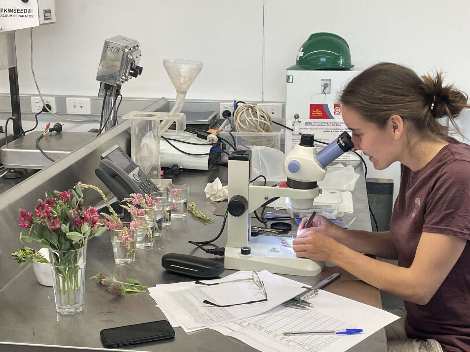 Project paves the way for sweet success | Seymour Telegraph