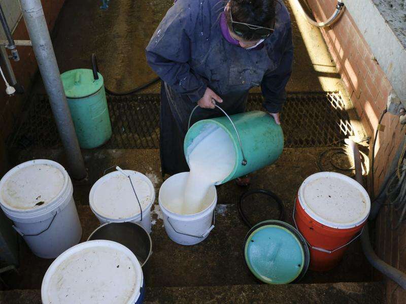 Dairy code performance review needs more feedback | Country News