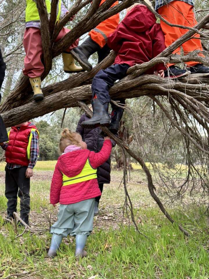 Violet Town Kindergarten and Childcare Centre a finalist in statewide ...