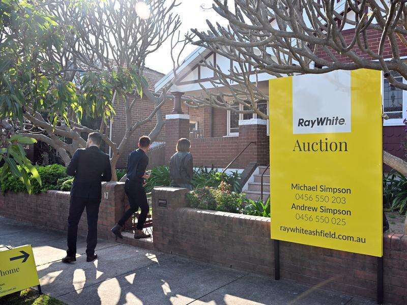 Rate cut delay bolsters case for experts on RBA board | Country News